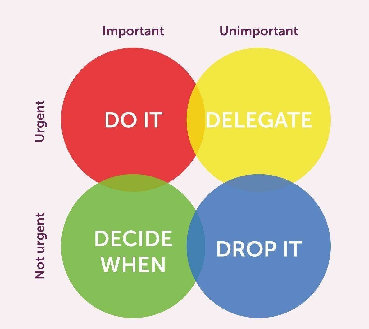 Simran Taj - Portfolio